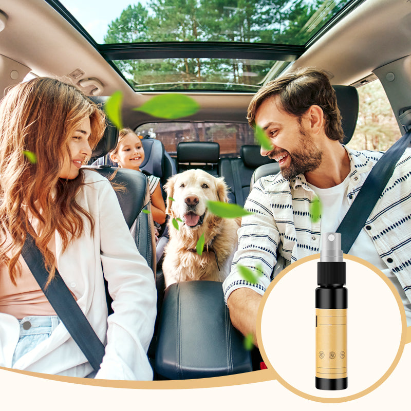 Long Lasting Deodorizing Car Air Freshener Spray – texasunny